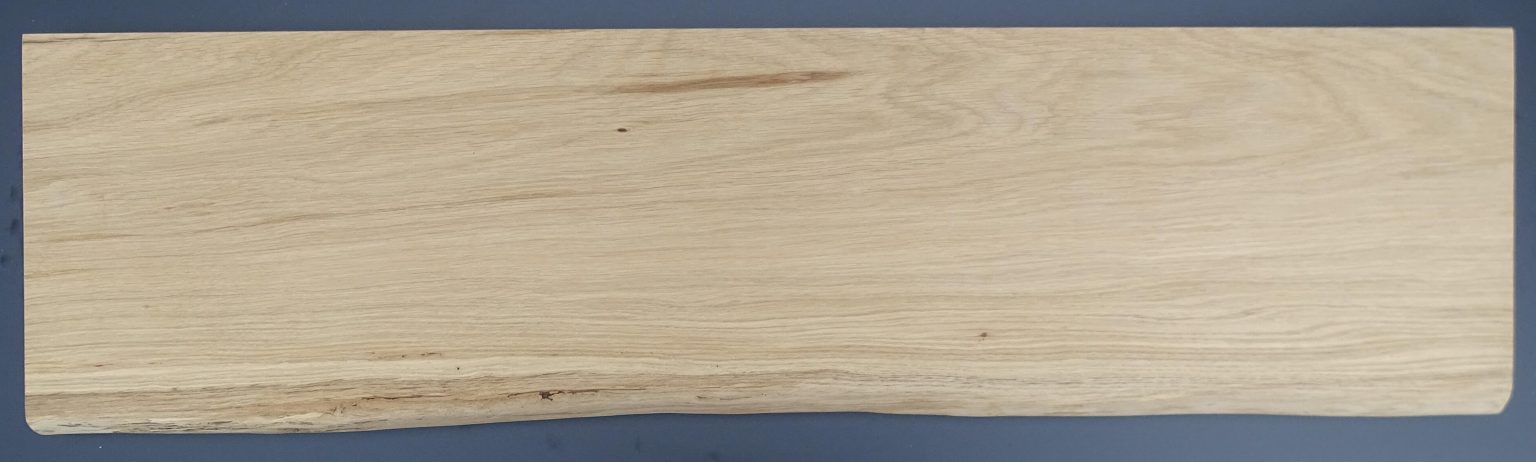 Zwevende boomstam wandplank kopen? Ambachtelijk aanbod
